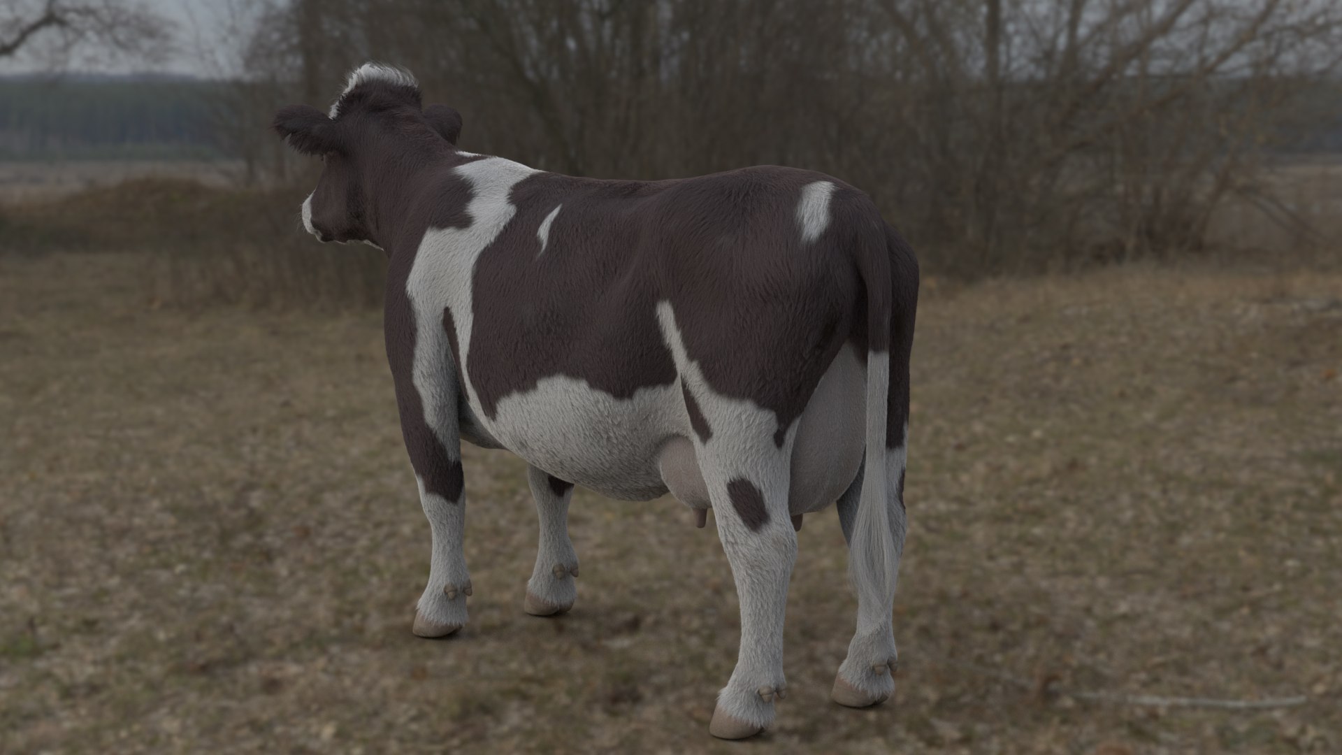 Cow Rig Fur Animation 3D Model - TurboSquid 1491323