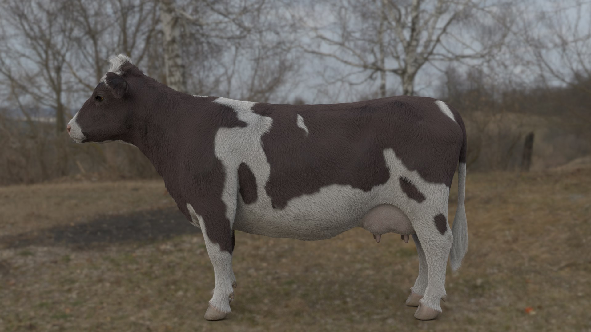 Cow Rig Fur Animation 3D Model - TurboSquid 1491323