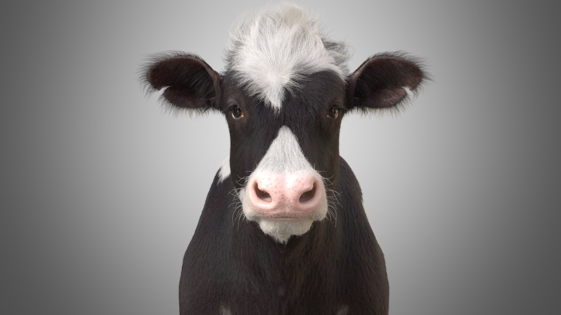 Cow Rig Fur Animation 3D Model - TurboSquid 1491323