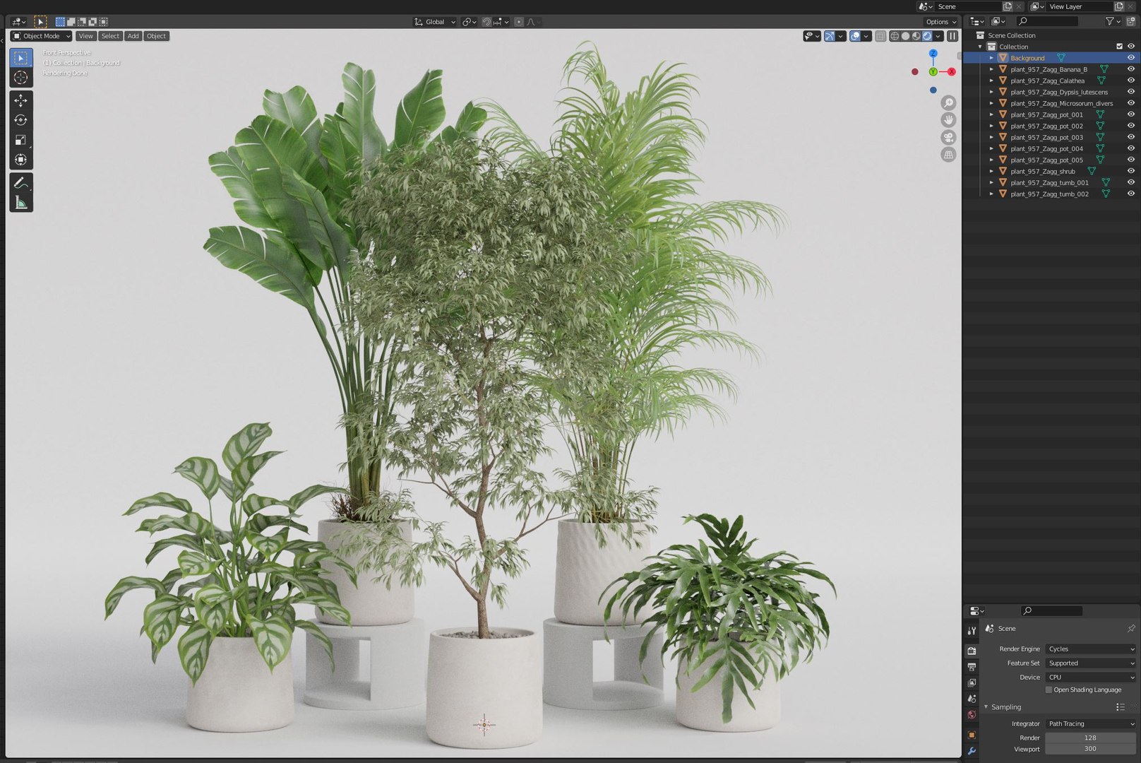 3D Plants Collection 957 - TurboSquid 2102291