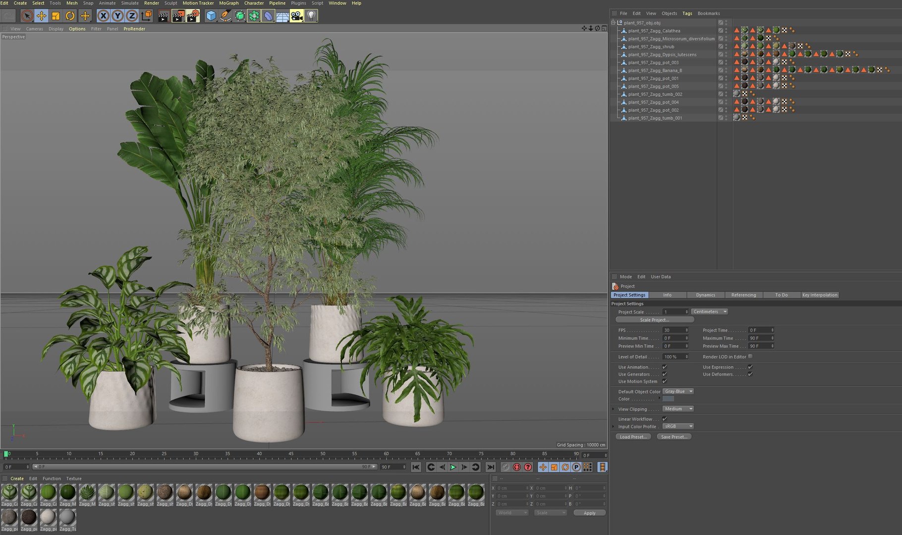 3D Plants Collection 957 - TurboSquid 2102291