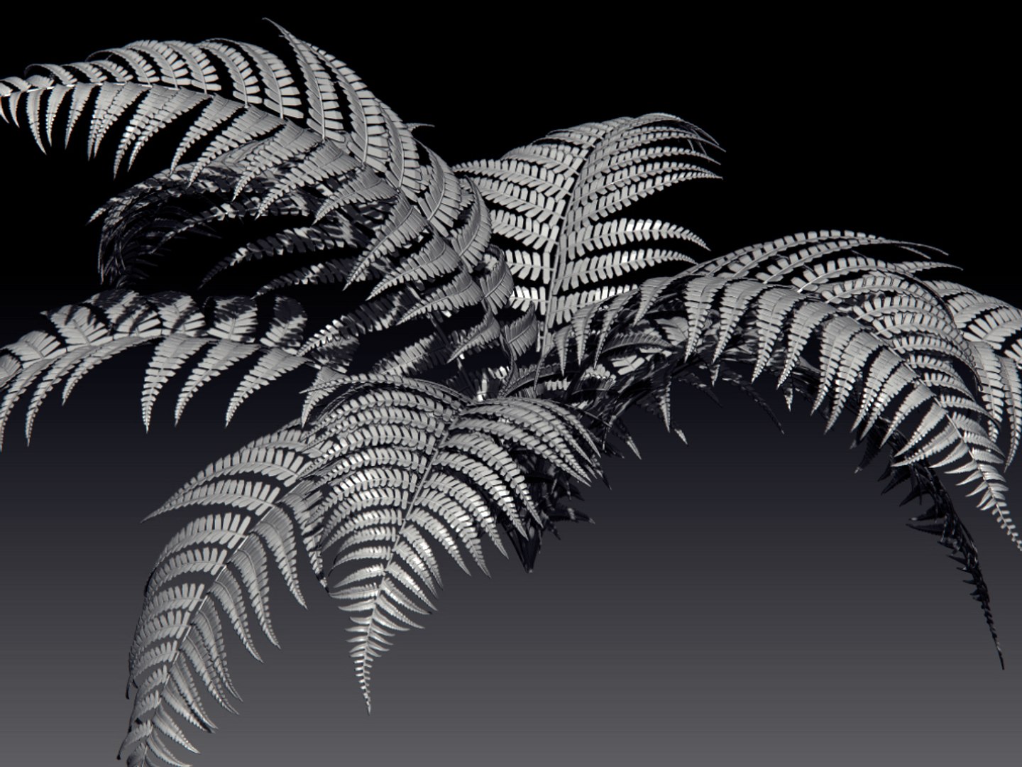 Bracken 3d Obj
