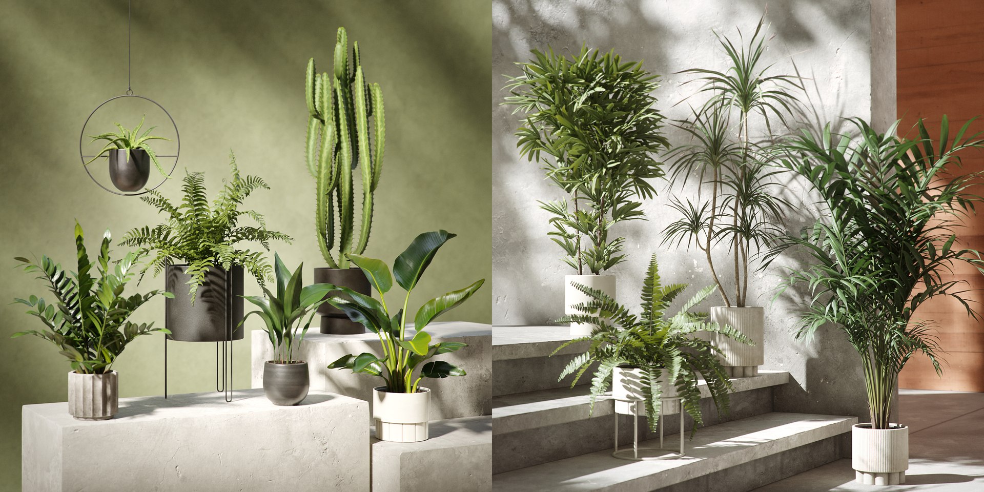 3D Plants Collection For Archviz 02 - TurboSquid 2279629