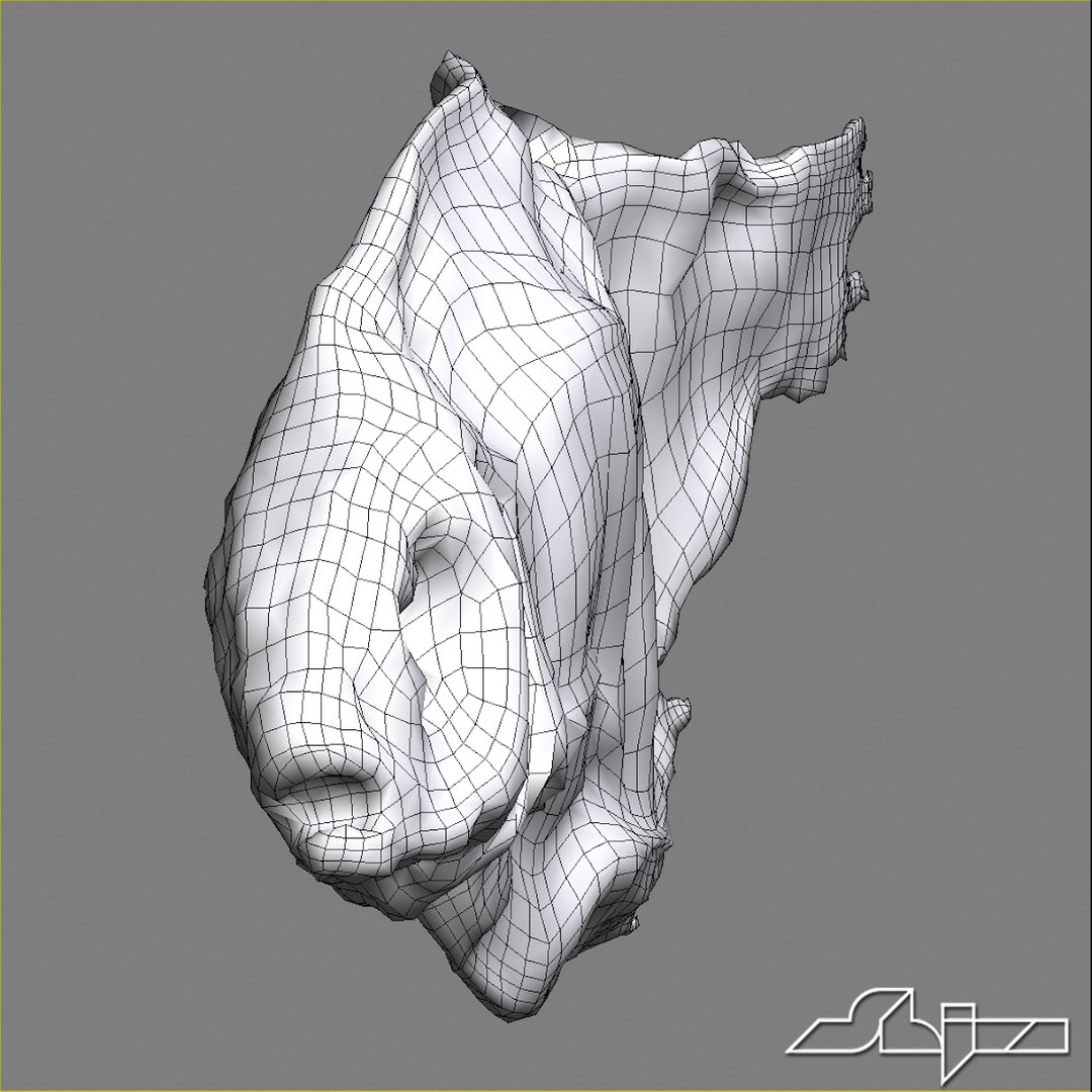 Dry Fish 2 3d Model