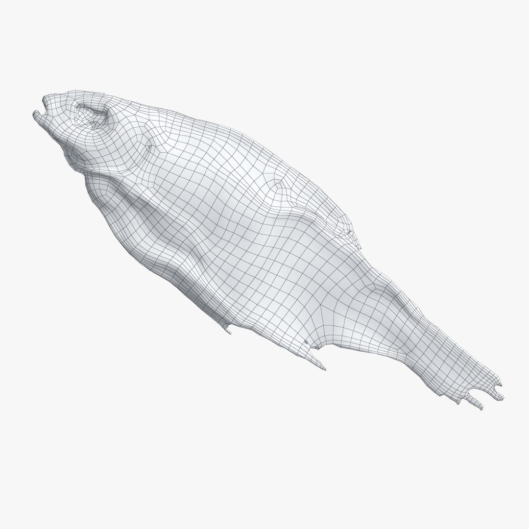 Dry Fish 2 3d Model