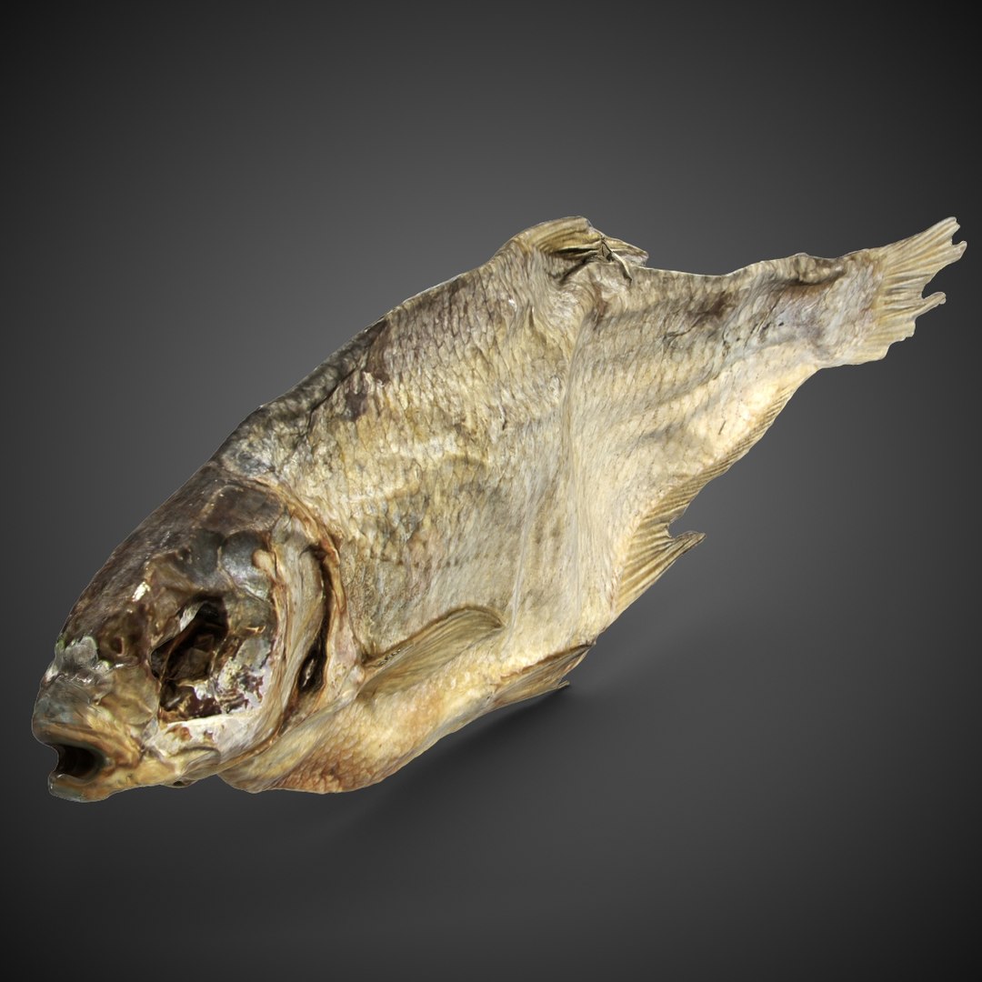 Dry Fish 2 3d Model