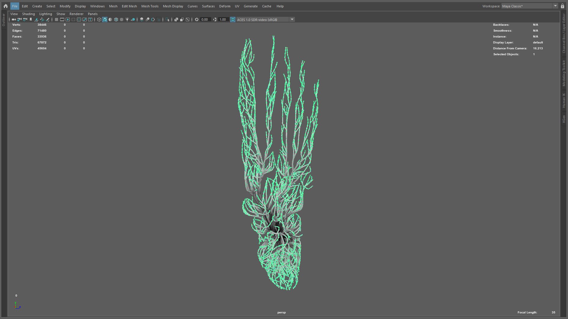 3D Human Feet Unrolling Growing Animation - TurboSquid 1978674