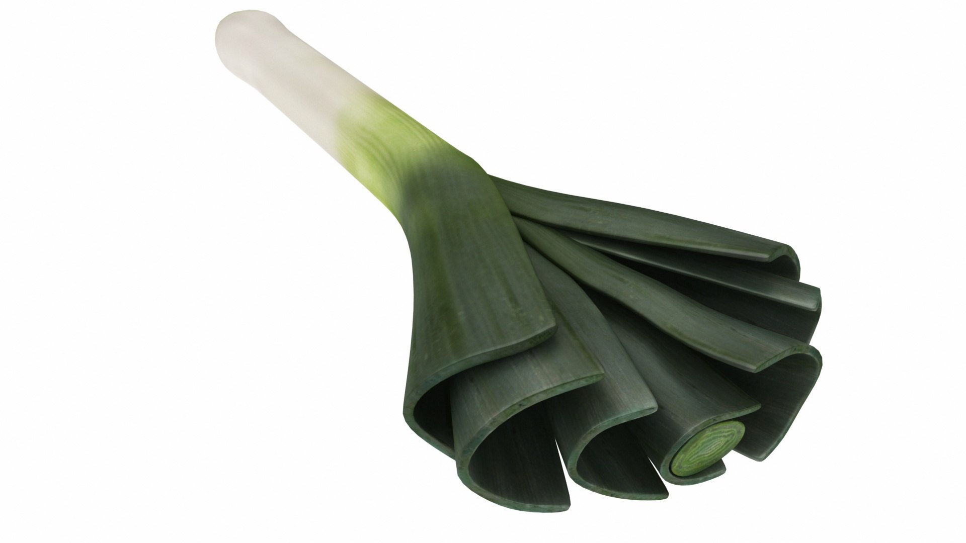 Leek Realistic 3D Model - TurboSquid 1544574