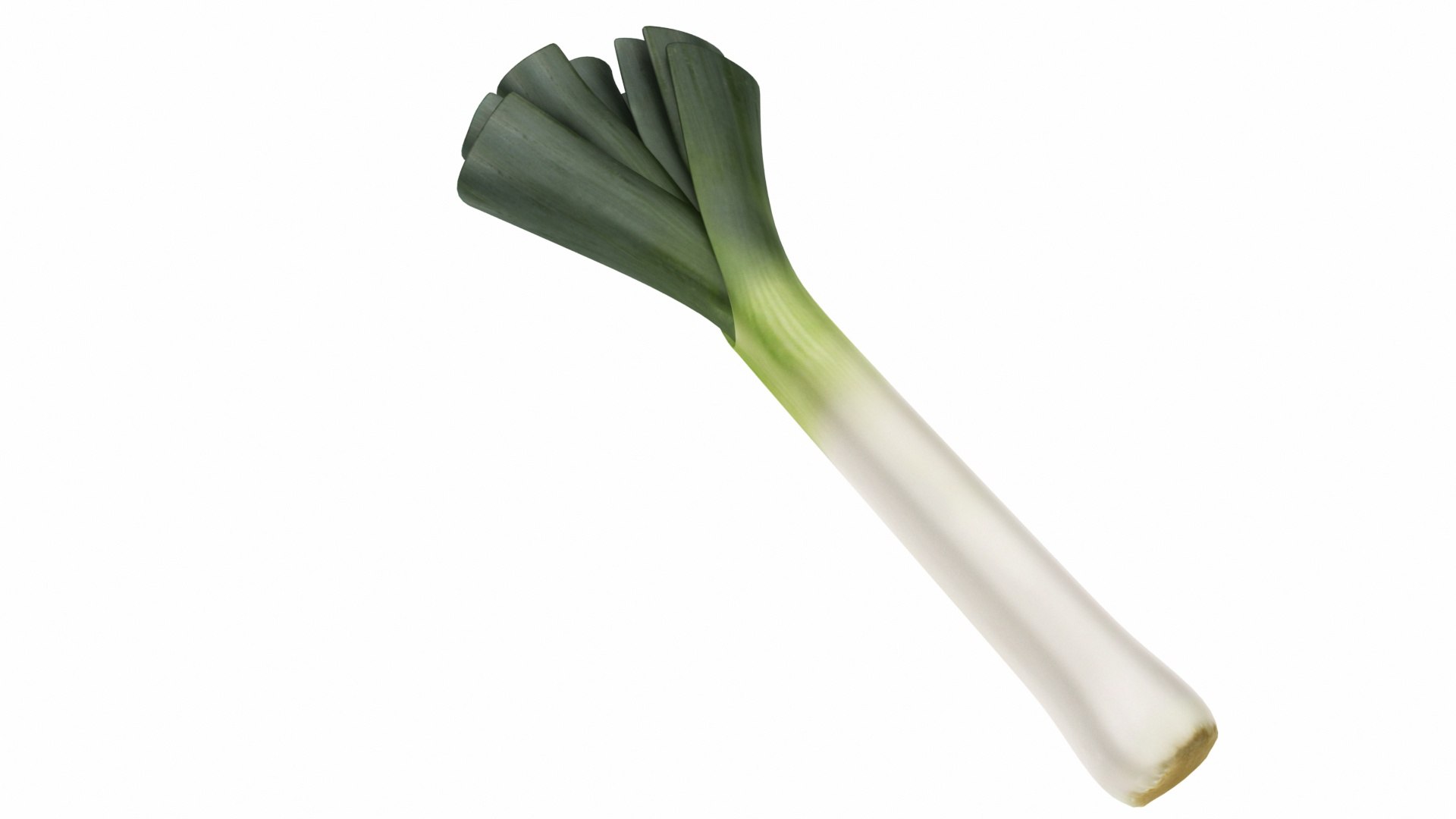 Leek Realistic 3D Model - TurboSquid 1544574