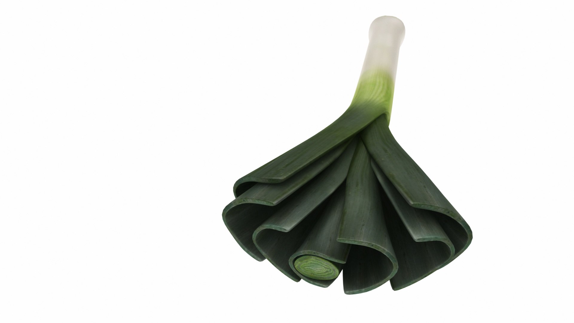Leek Realistic 3D Model - TurboSquid 1544574