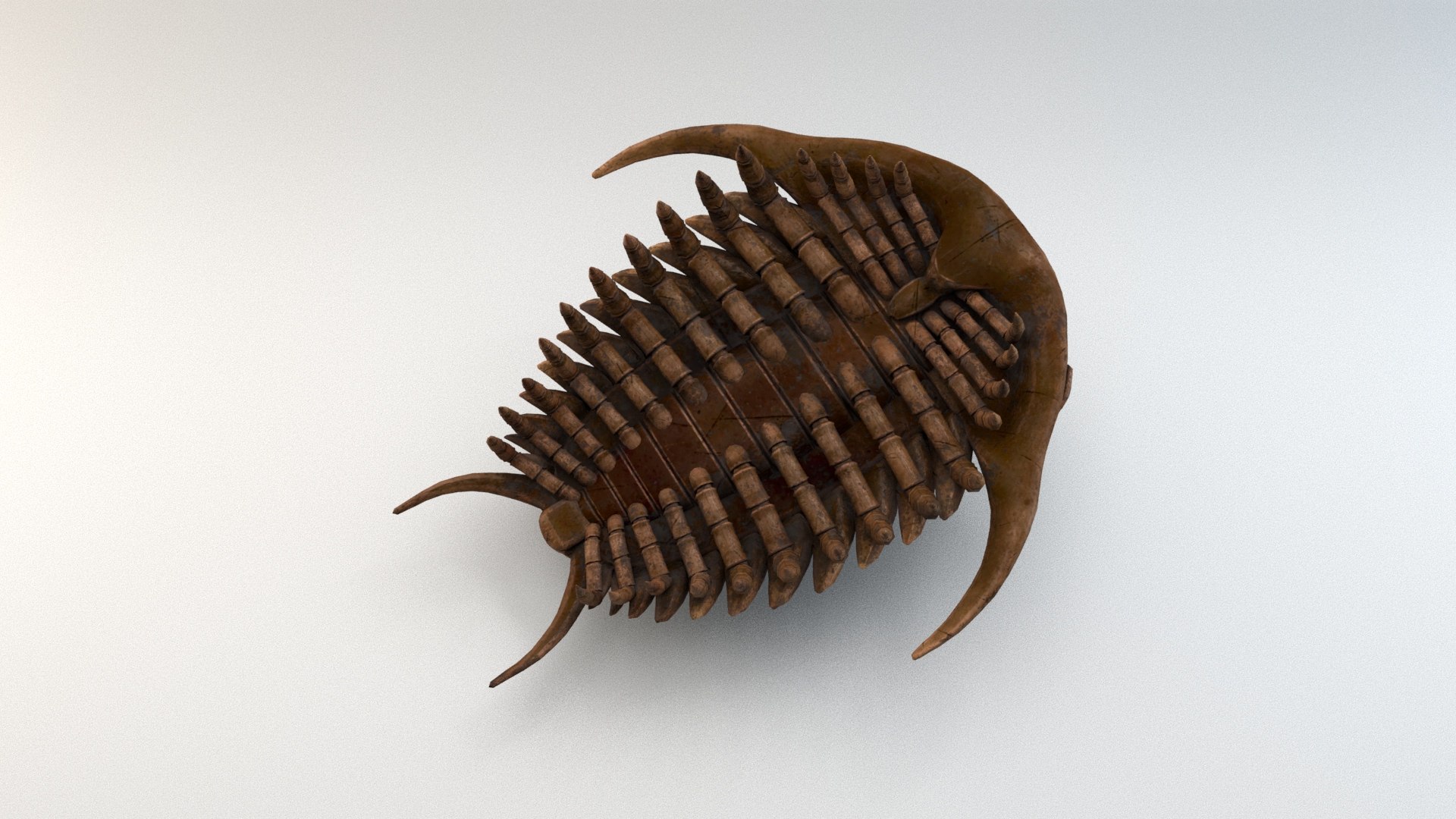 Rigged Trilobite 3D - TurboSquid 1456670