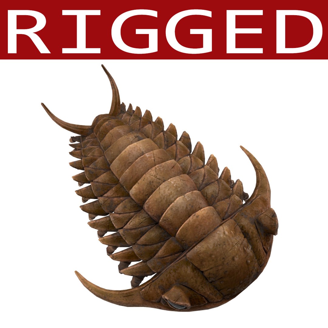Rigged Trilobite 3D - TurboSquid 1456670