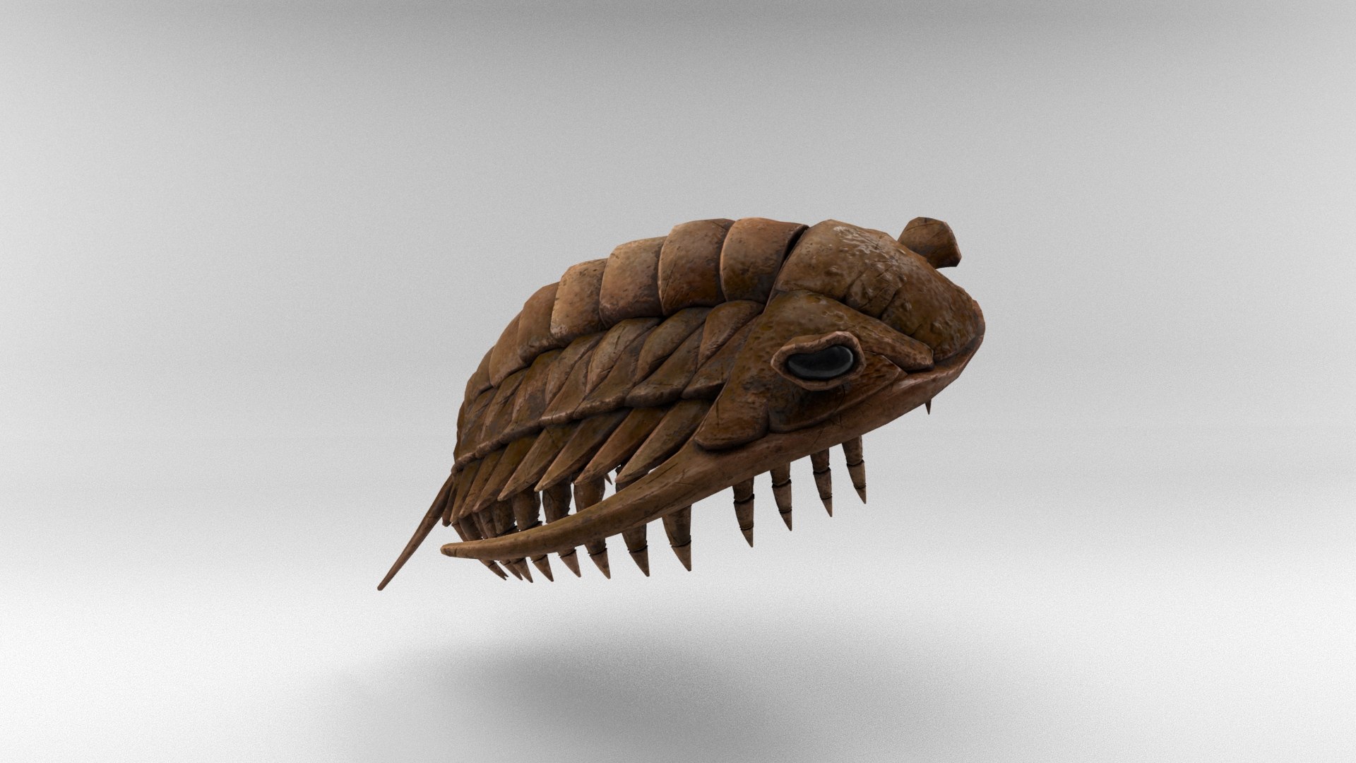 Rigged Trilobite 3D - TurboSquid 1456670