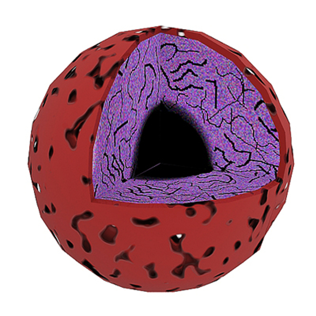 nucleus cell biology 3d model
