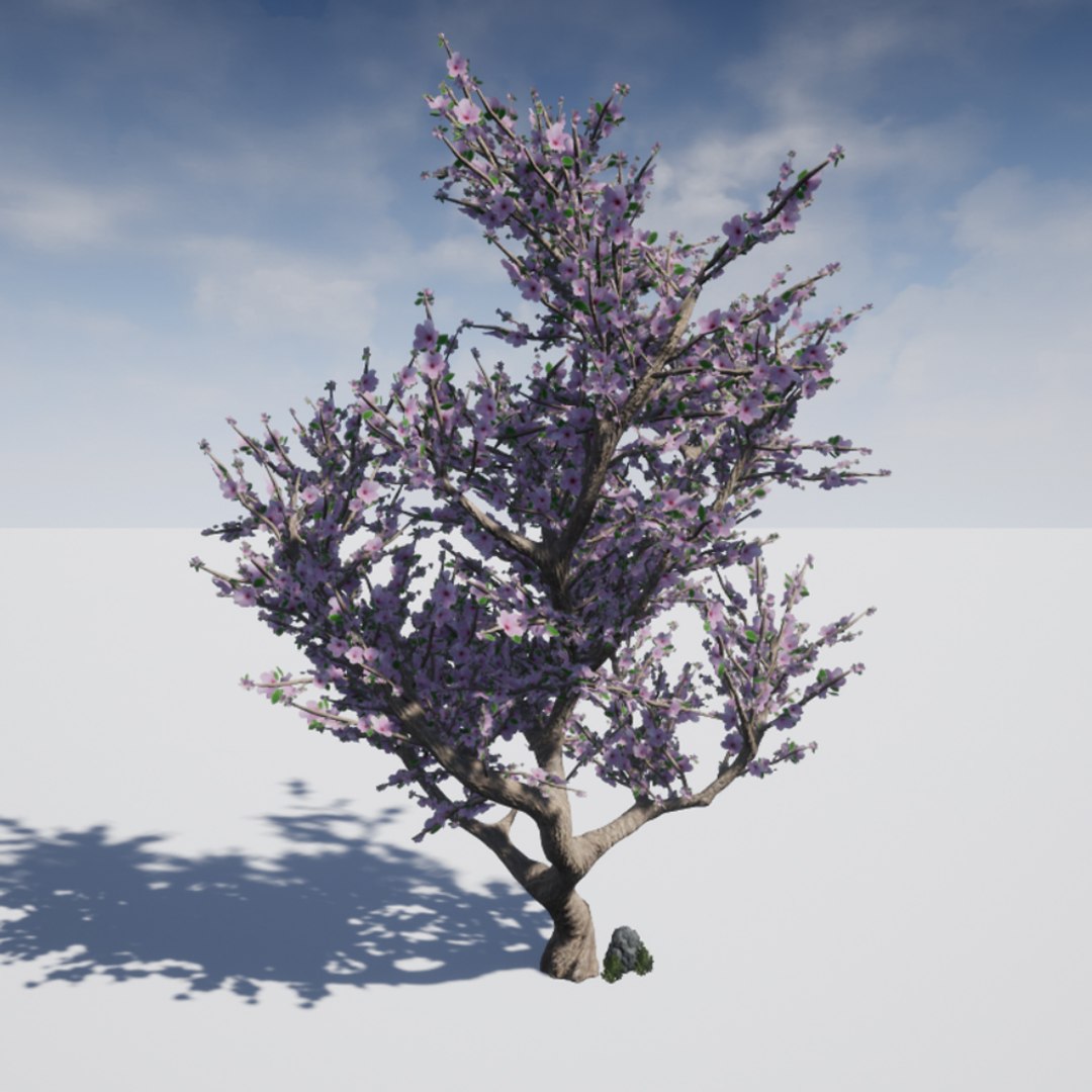 3D Blossomed Cherry Tree - TurboSquid 1170649