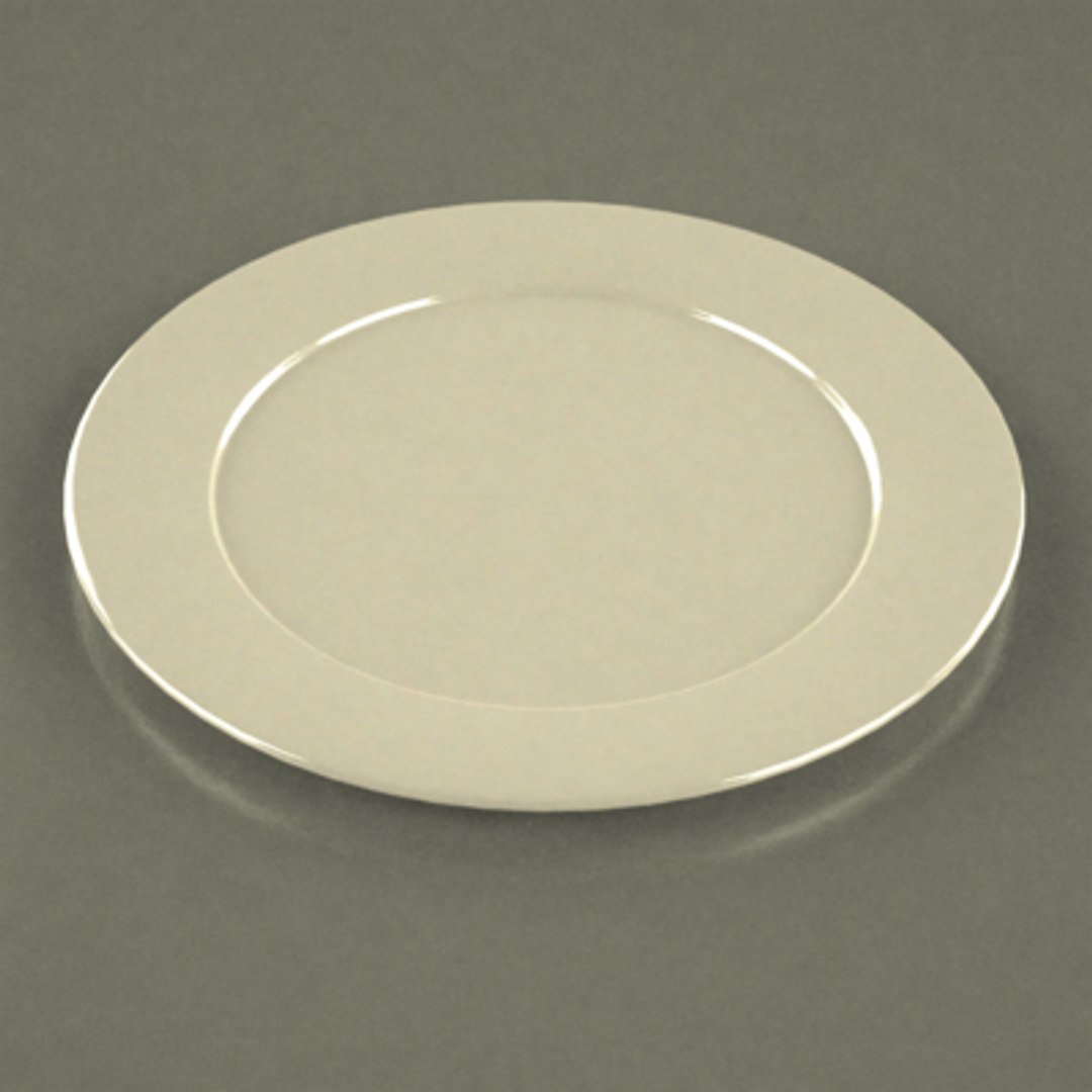 3d Model Of Plate