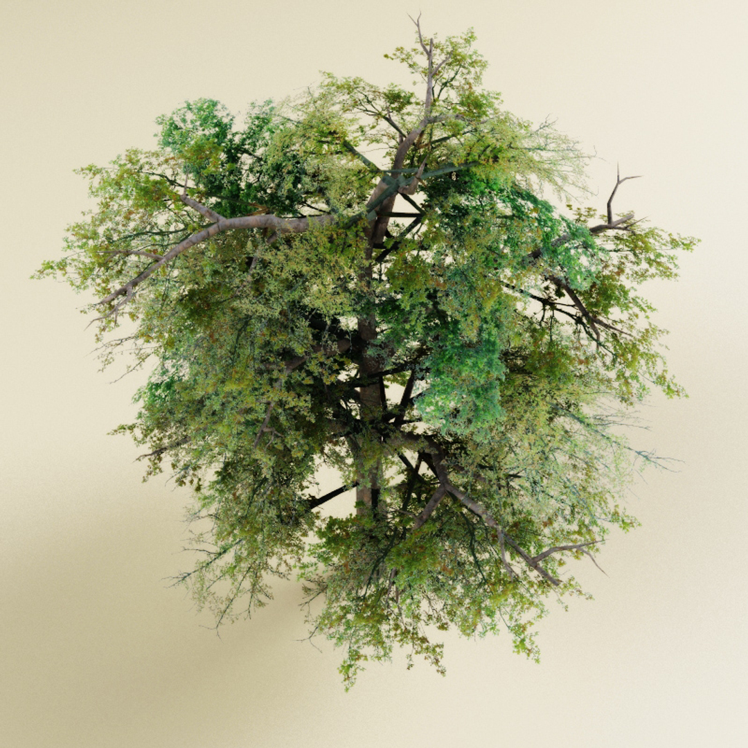 3ds max tree modelled