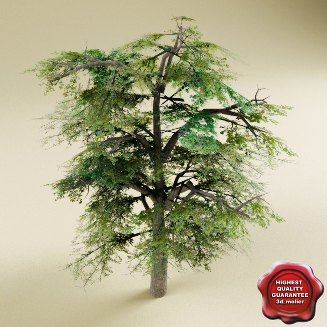 3ds max tree modelled