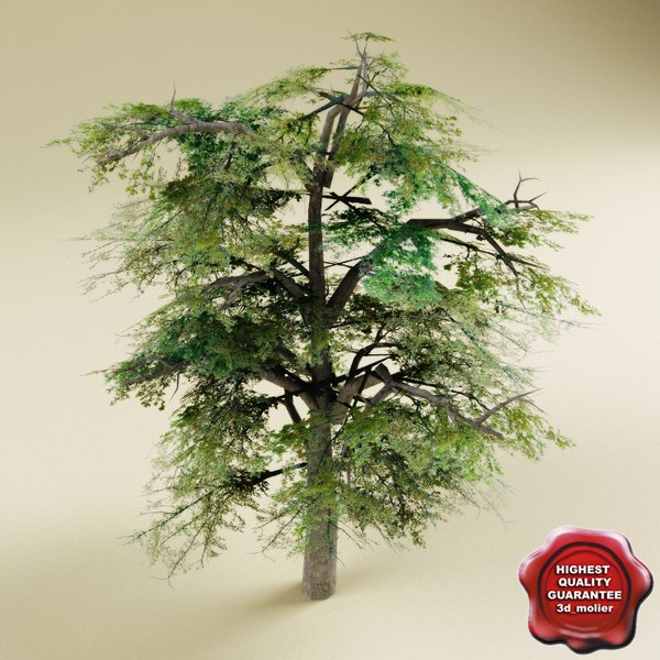 3ds max tree modelled