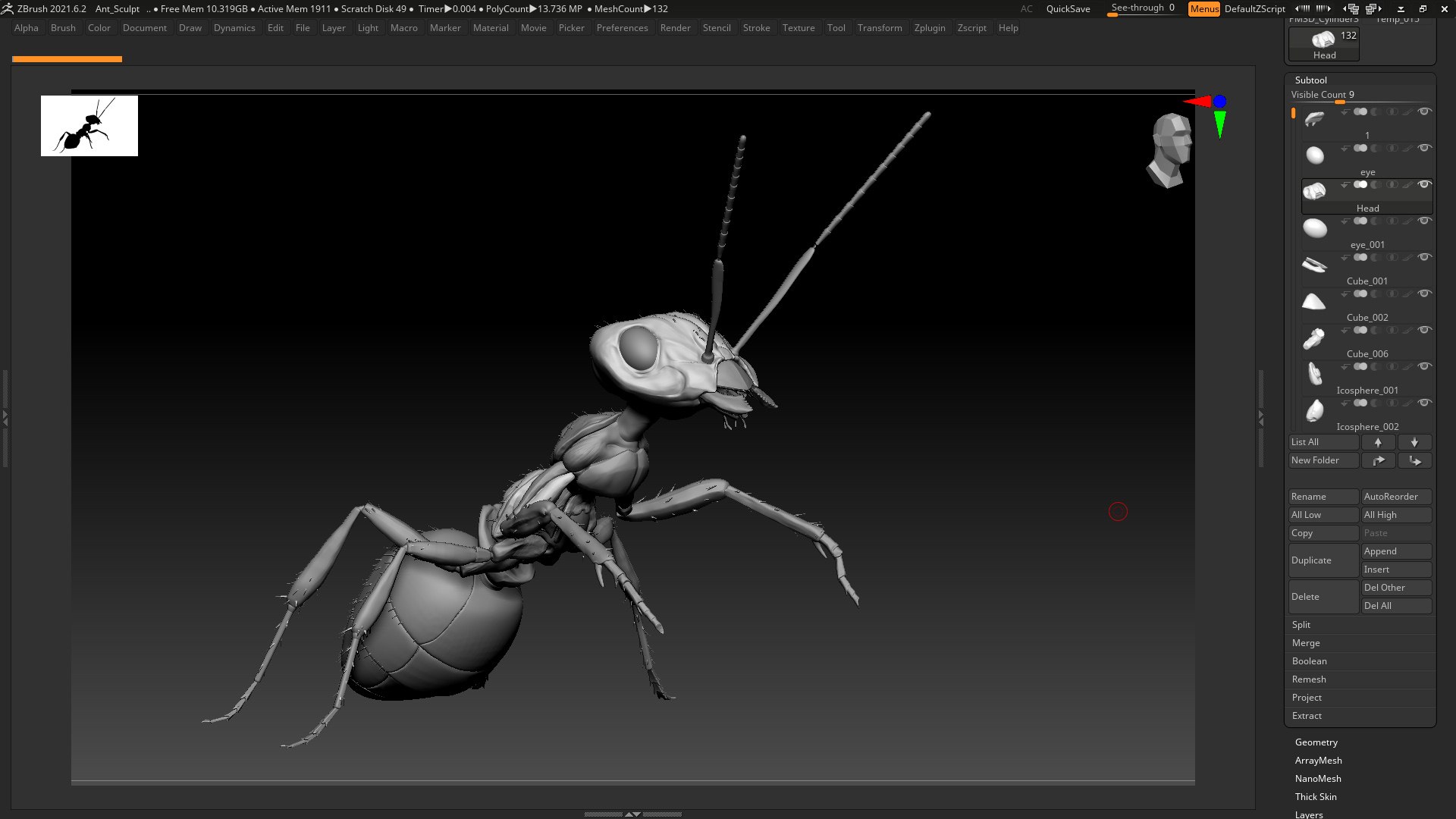 Ant 3D Model - TurboSquid 1776179