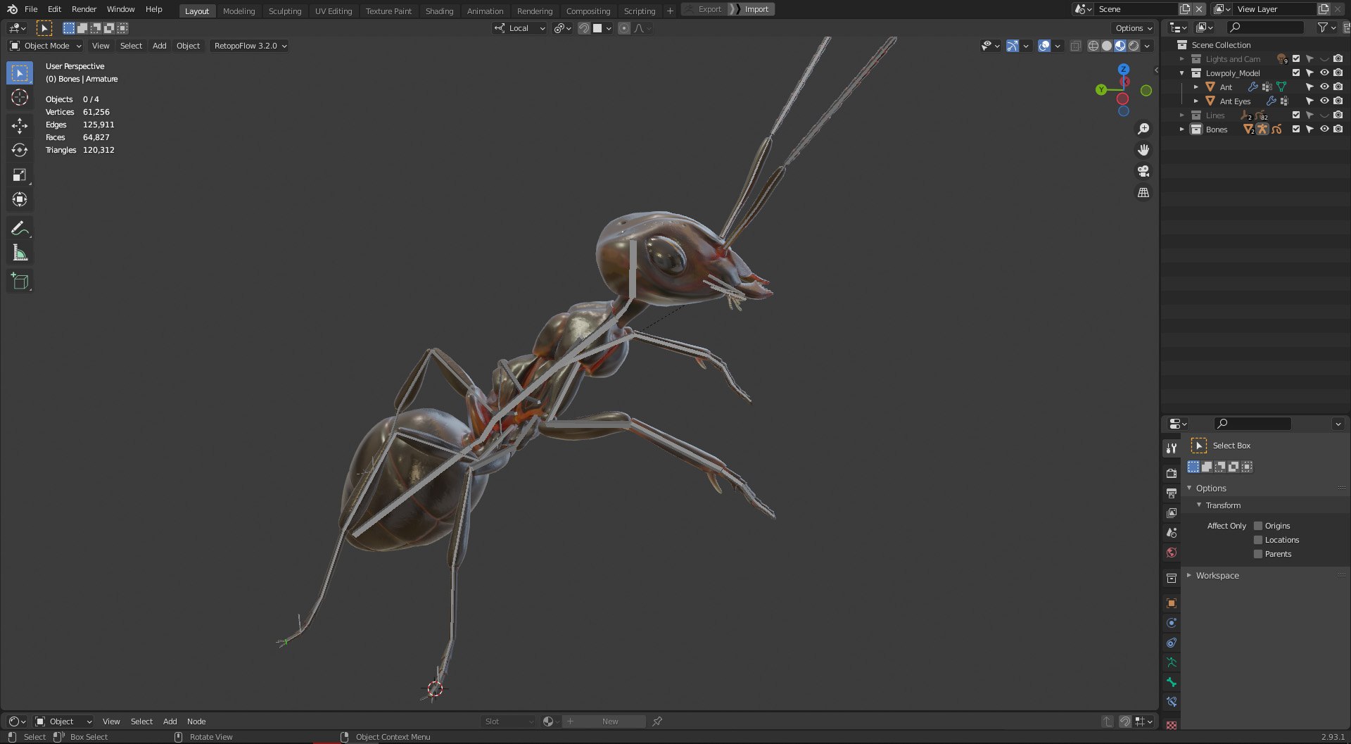 Ant 3D Model - TurboSquid 1776179