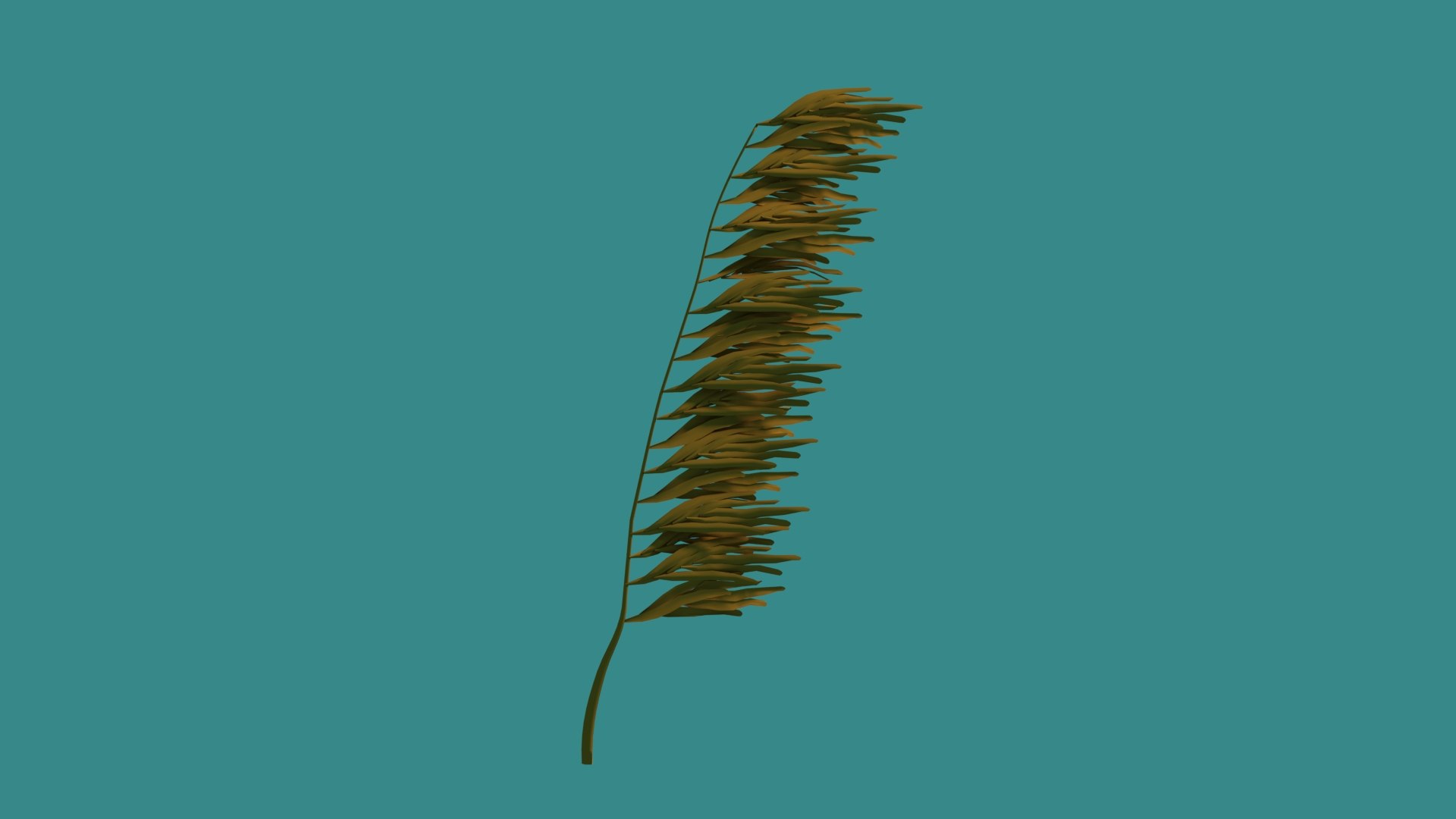Seaweed -Lowpoly Animated 3D Model - TurboSquid 2045673