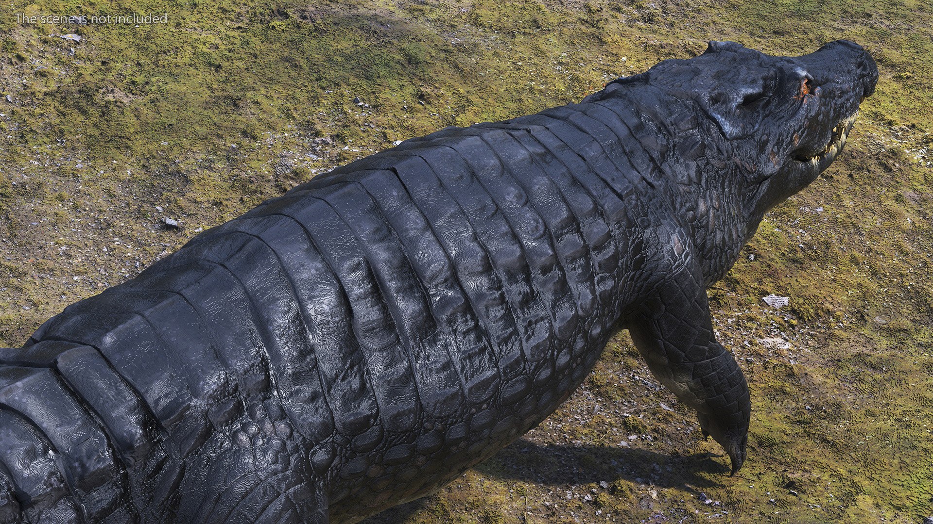 Black Caiman 3D Model - TurboSquid 2203545