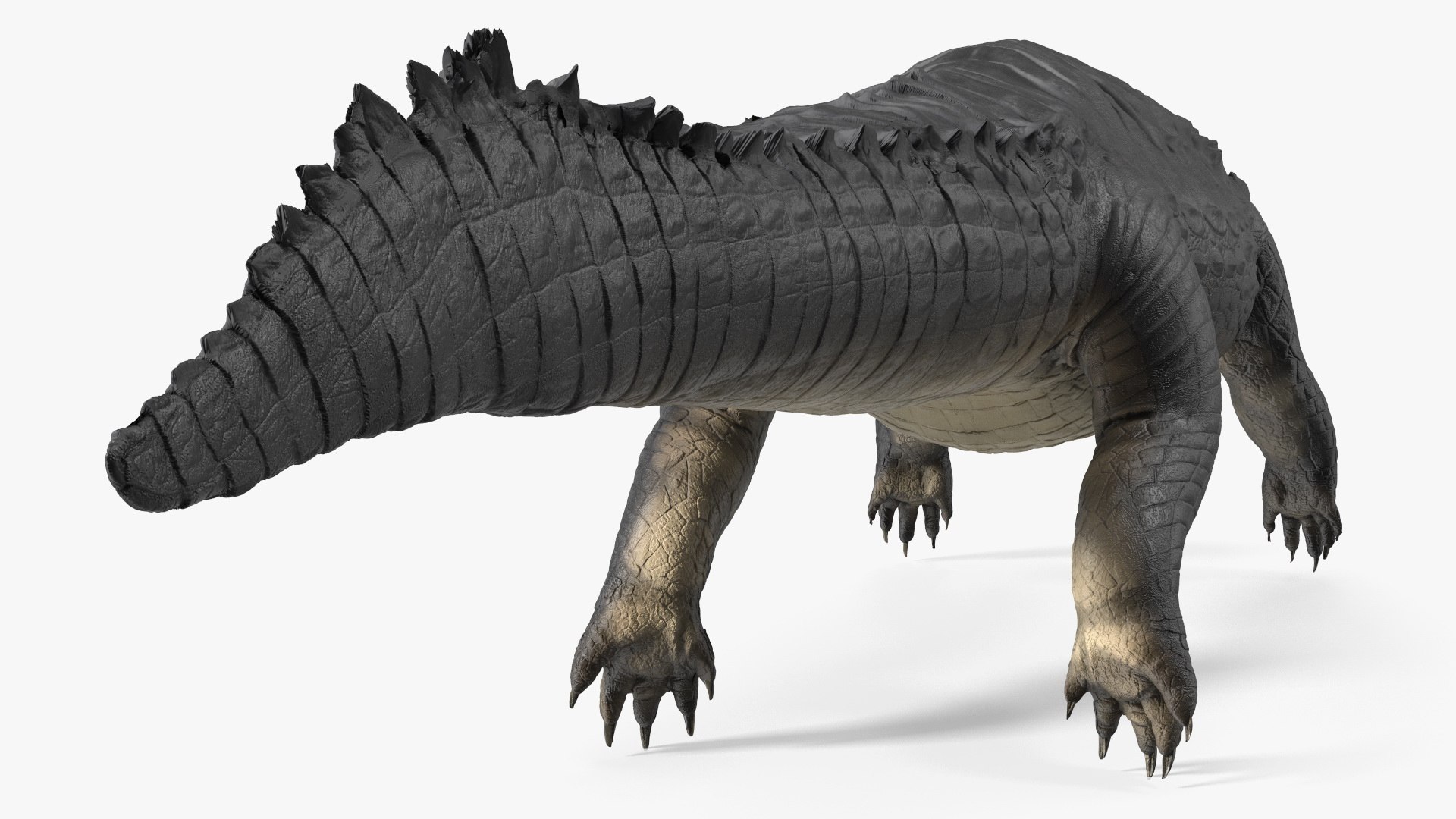 Black Caiman 3D Model - TurboSquid 2203545