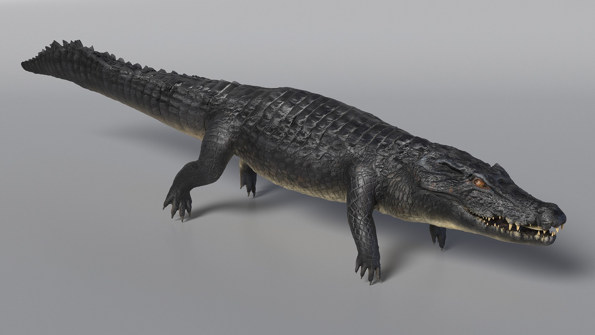 Black Caiman 3D Model - TurboSquid 2203545