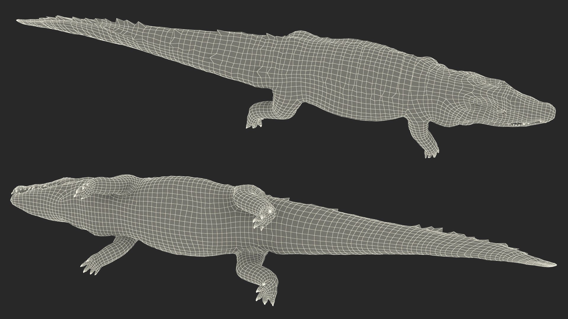 Black Caiman 3D Model - TurboSquid 2203545