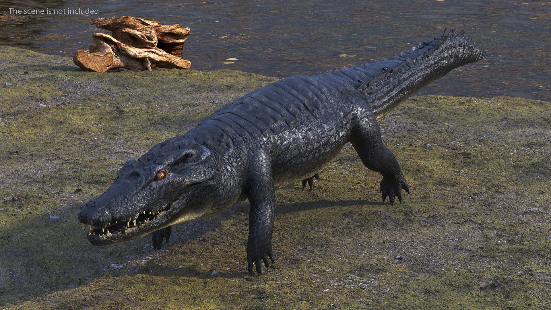 Black Caiman 3D Model - TurboSquid 2203545