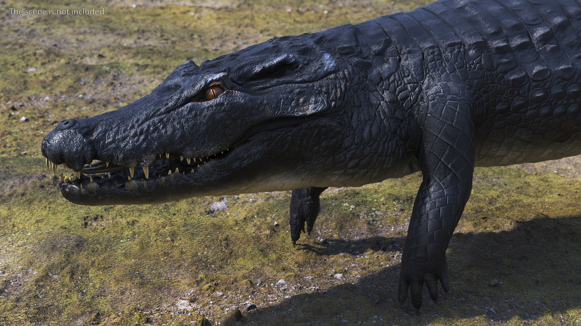 Black Caiman 3D Model - TurboSquid 2203545