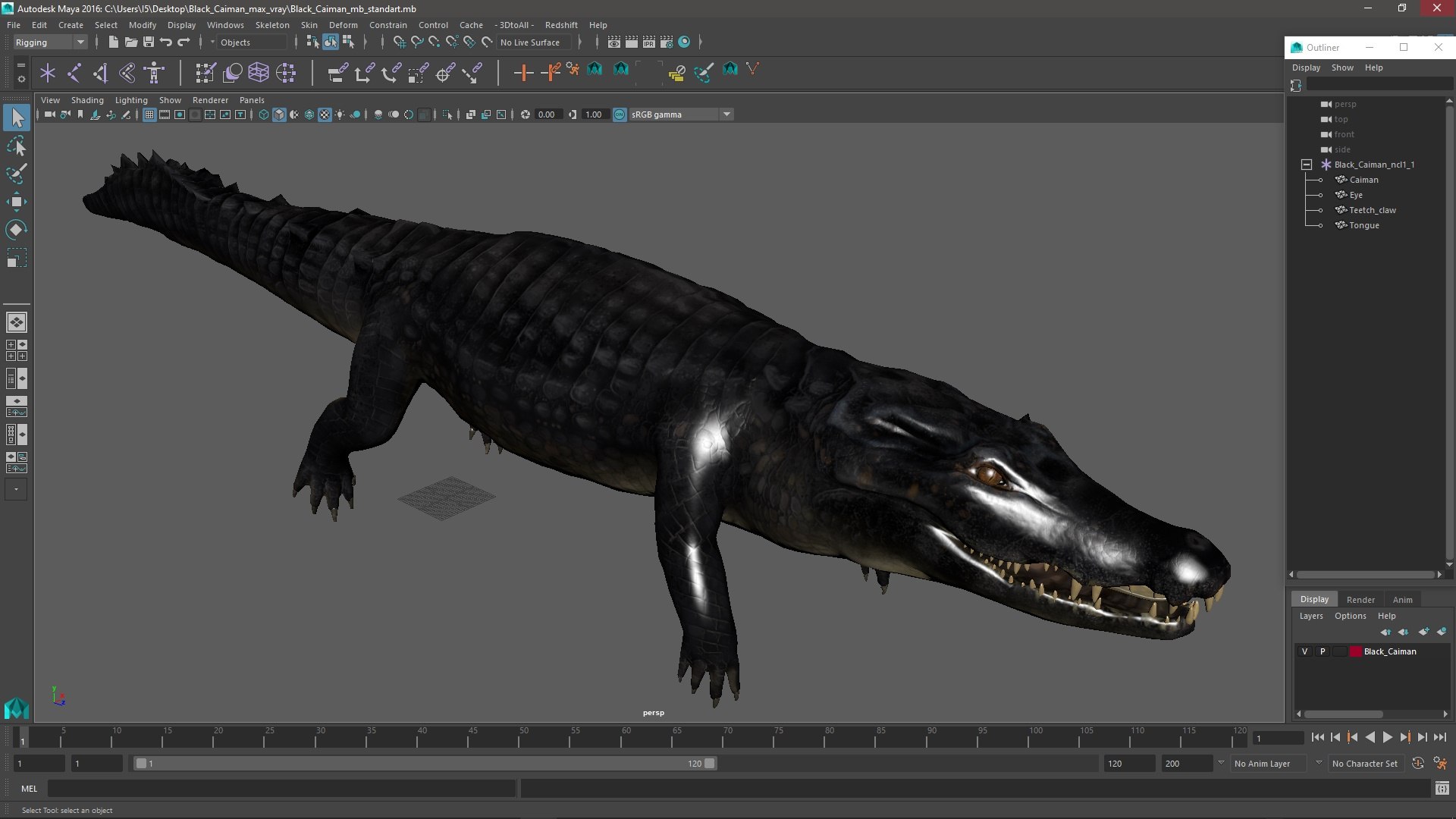 Black Caiman 3D Model - TurboSquid 2203545