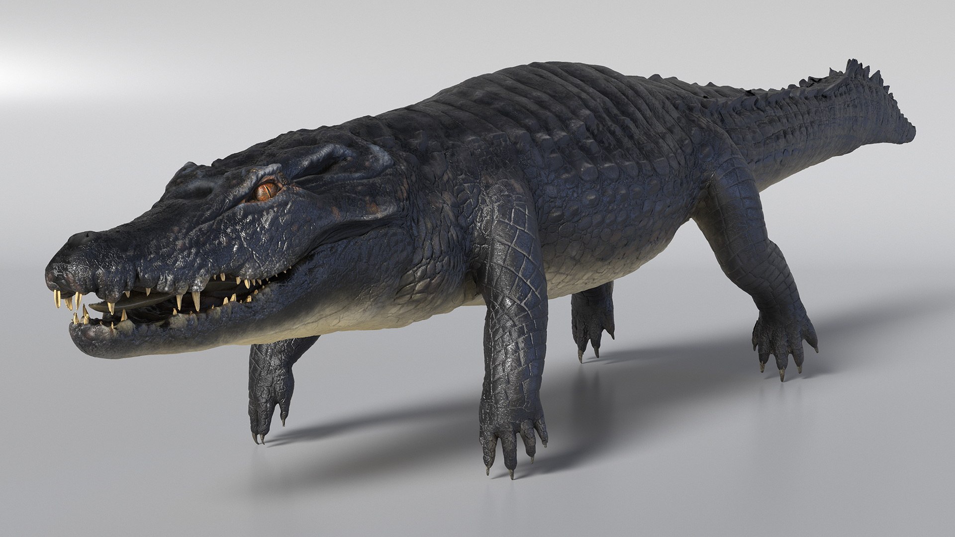 Black Caiman 3D Model - TurboSquid 2203545