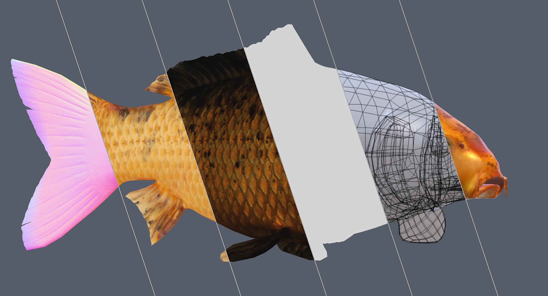 3D Golden Carp Koi Fish Model - TurboSquid 1160524