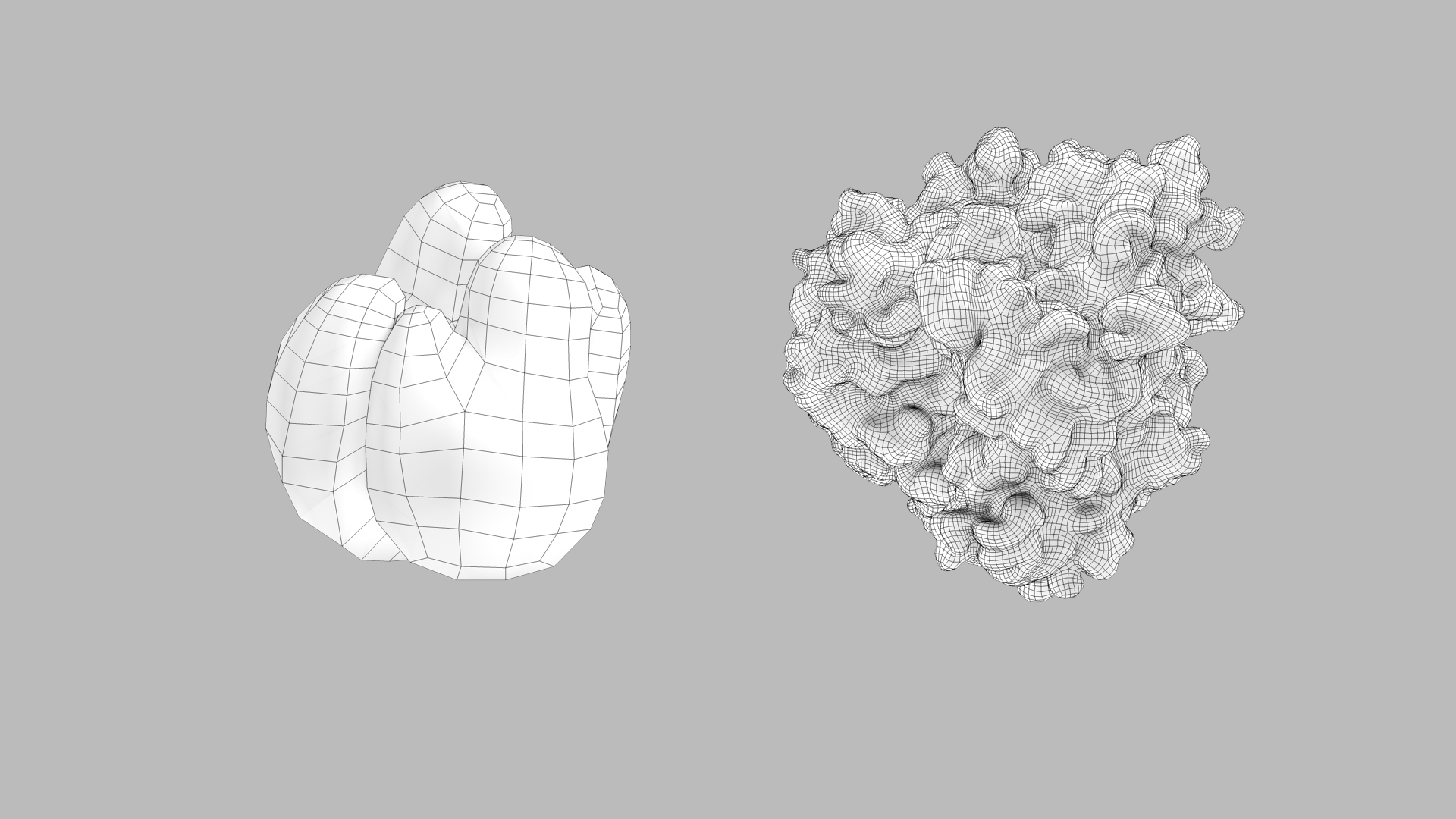 Ribosome 3D Model - TurboSquid 2251363