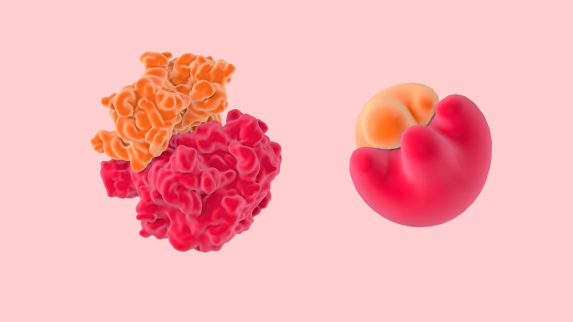 Ribosome 3D Model - TurboSquid 2251363