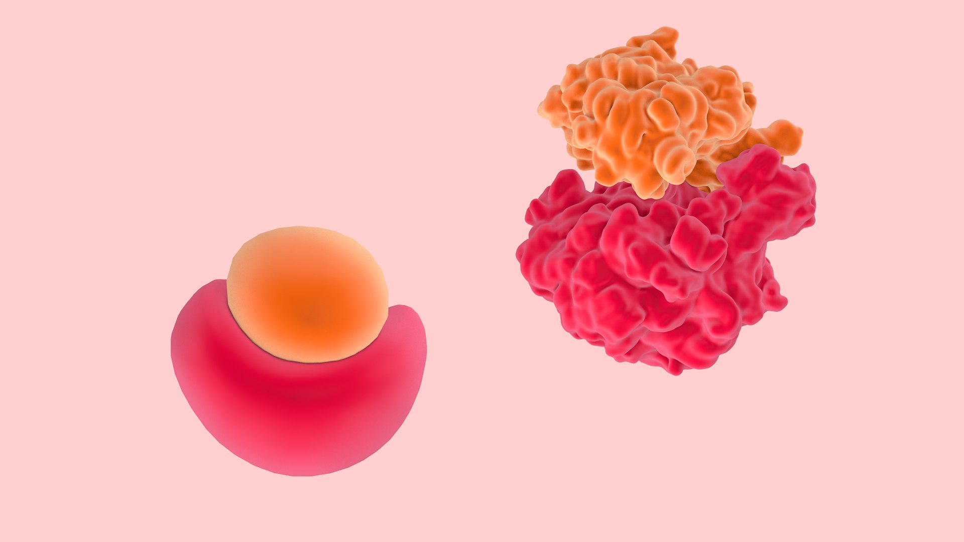 Ribosome 3D Model - TurboSquid 2251363