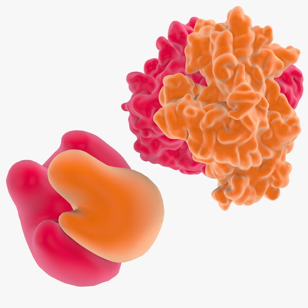 modelo 3d ribosoma - TurboSquid 2251363