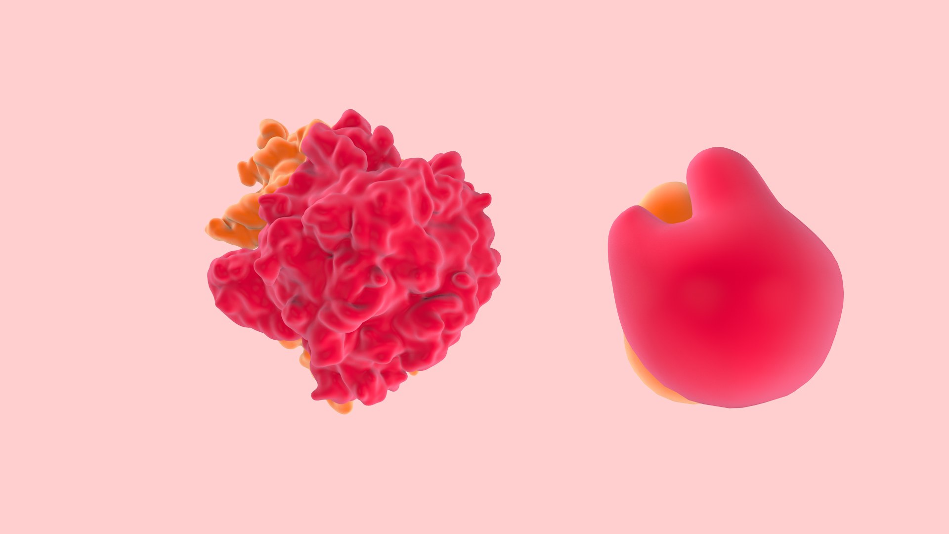 Ribosome 3D Model - TurboSquid 2251363