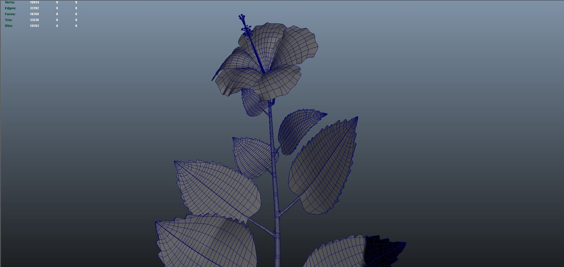 3d hibiscus flowering plants