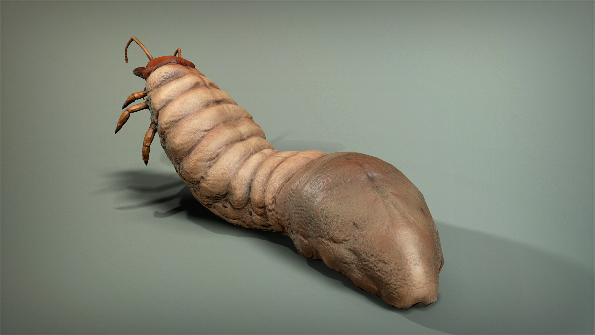 3D Model Insect Larva - TurboSquid 1699348