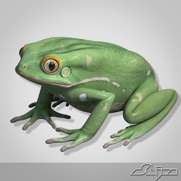Toad 3D Models for Download | TurboSquid