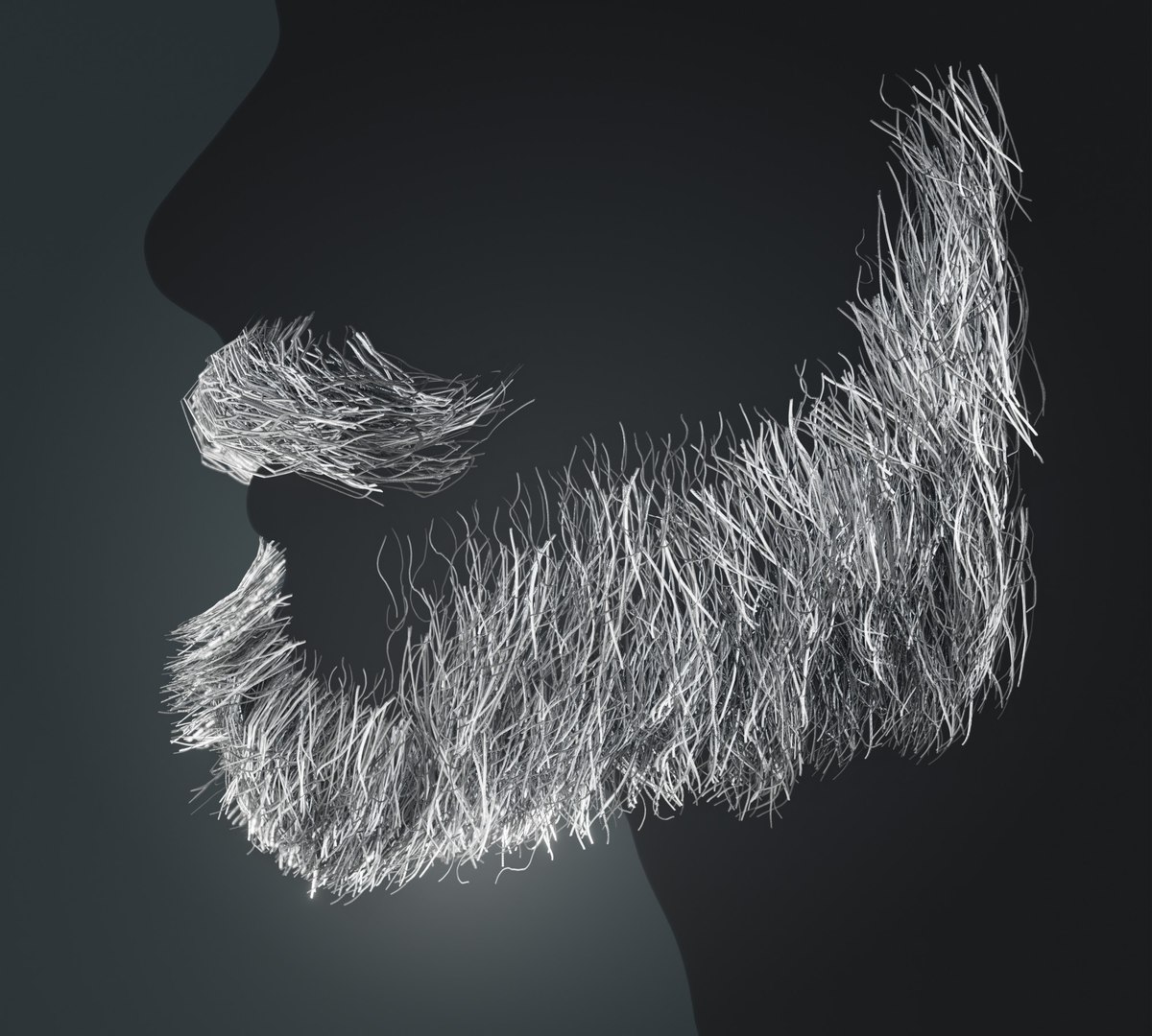 Beard RealTime 7 Version 1 3D Model - TurboSquid 1892344