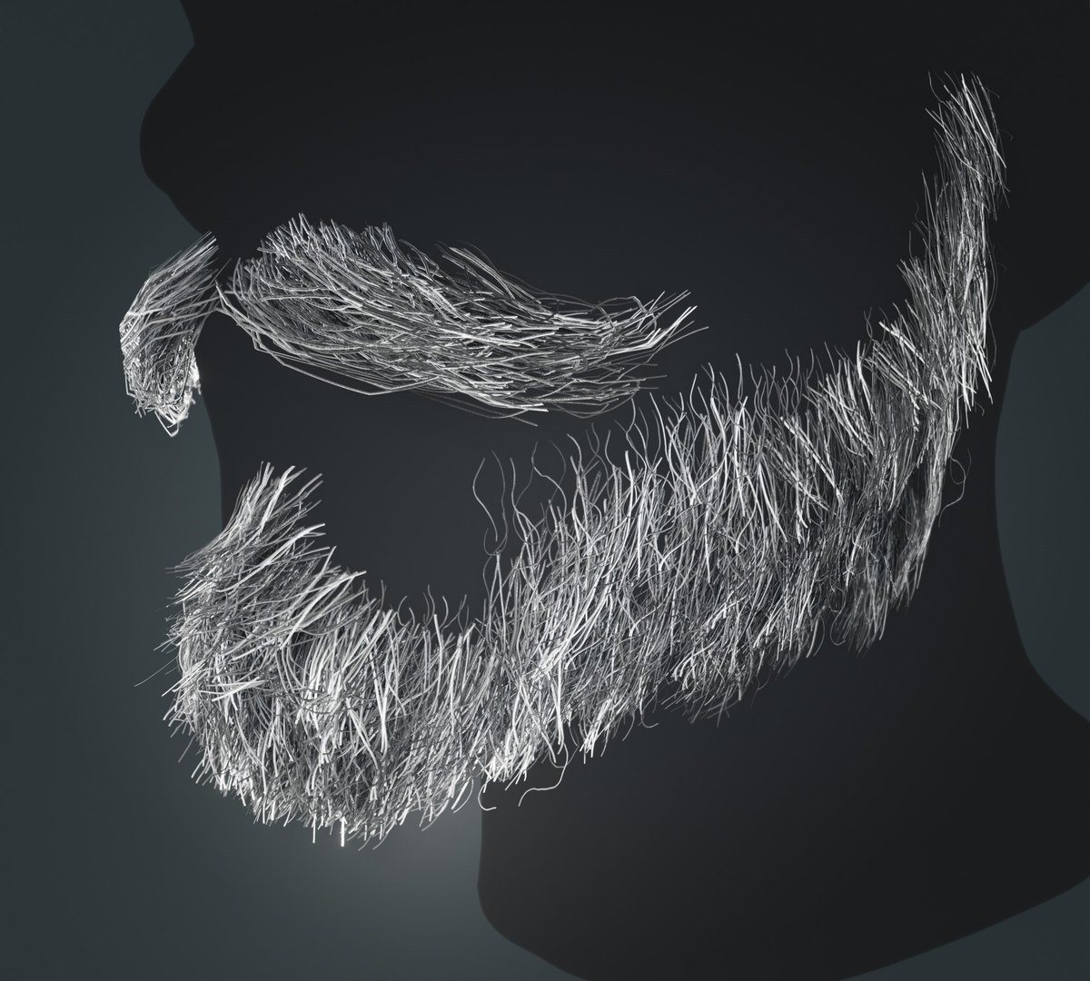 Beard RealTime 7 Version 1 3D Model - TurboSquid 1892344