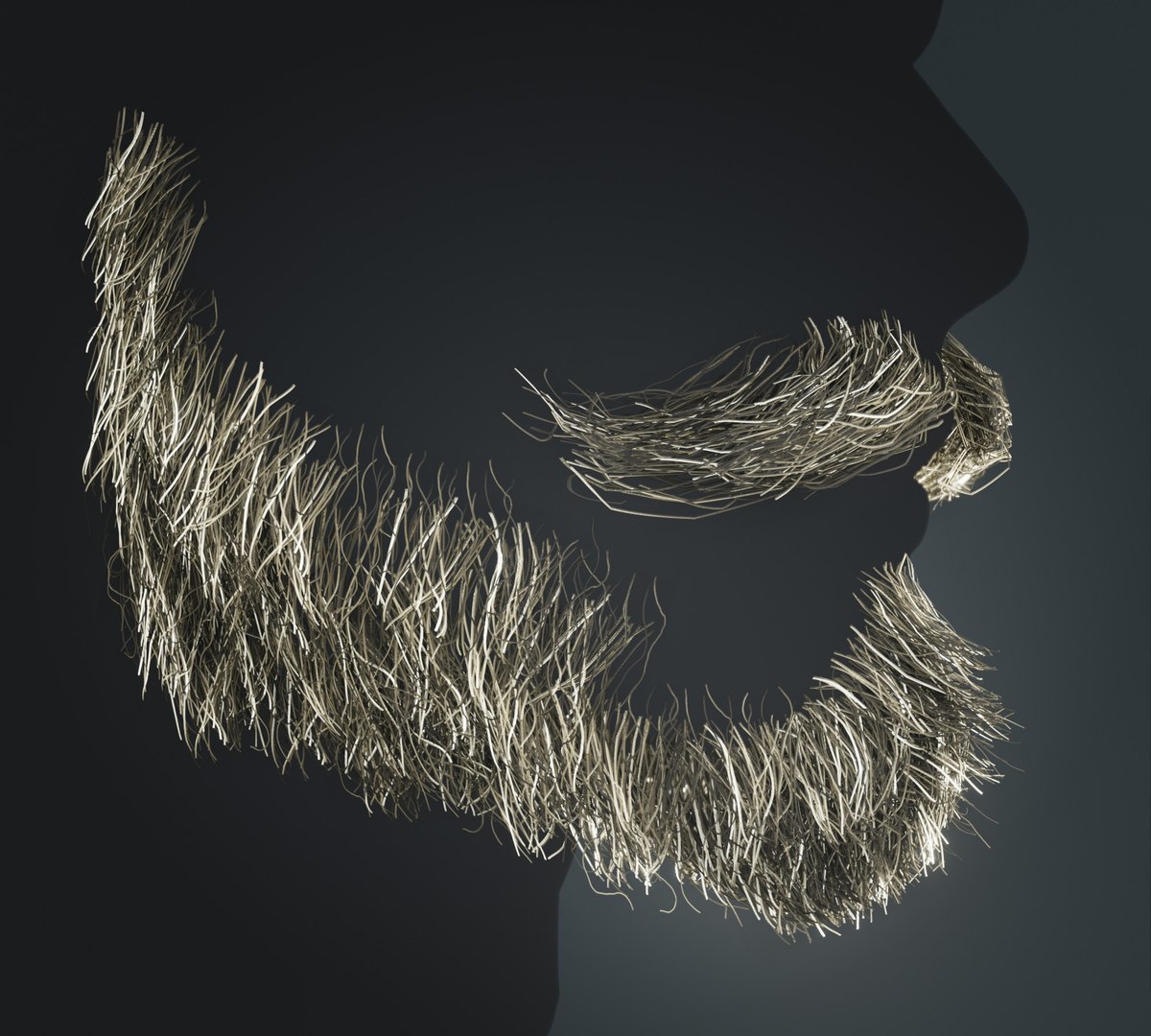 Beard RealTime 7 Version 1 3D Model - TurboSquid 1892344