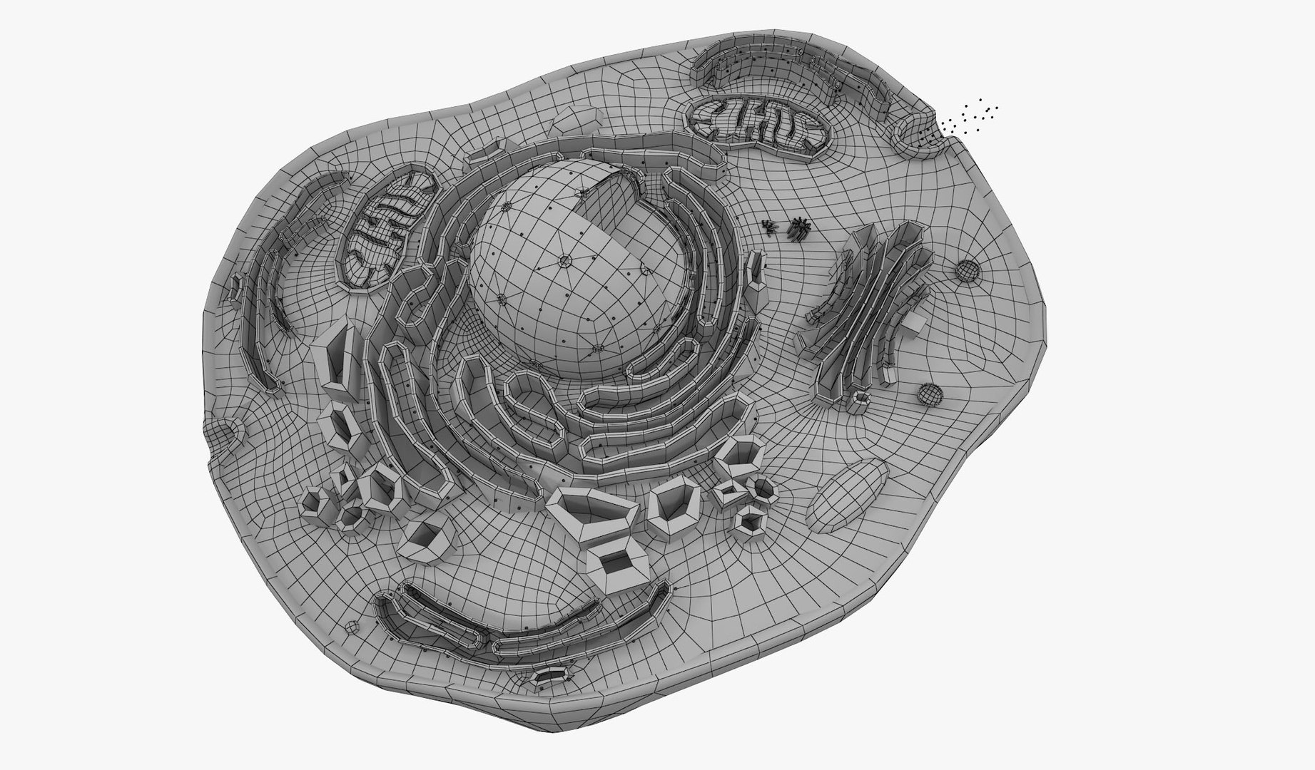 3D animal cell - TurboSquid 1361148