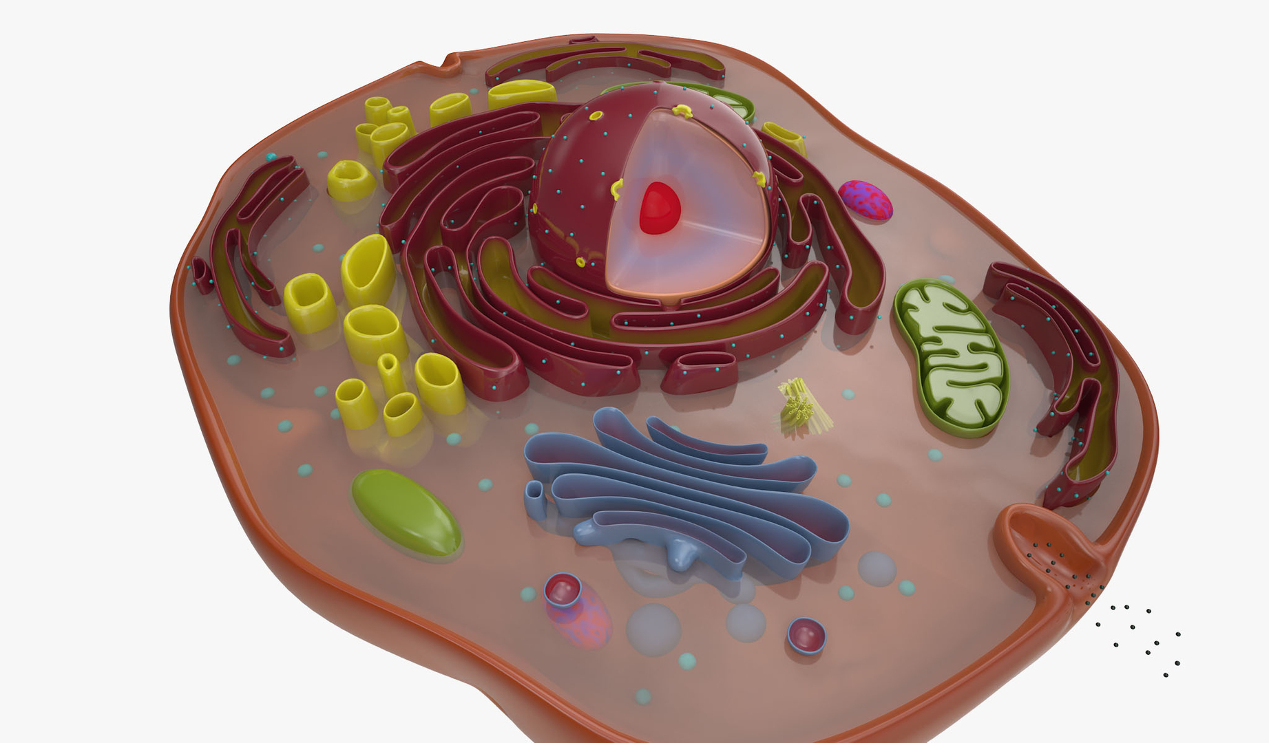 modelo 3d Célula animal - TurboSquid 1361148