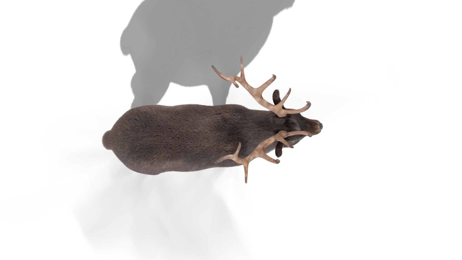 3D Model Fur Gray Stag Deer NO RIG - TurboSquid 1727887