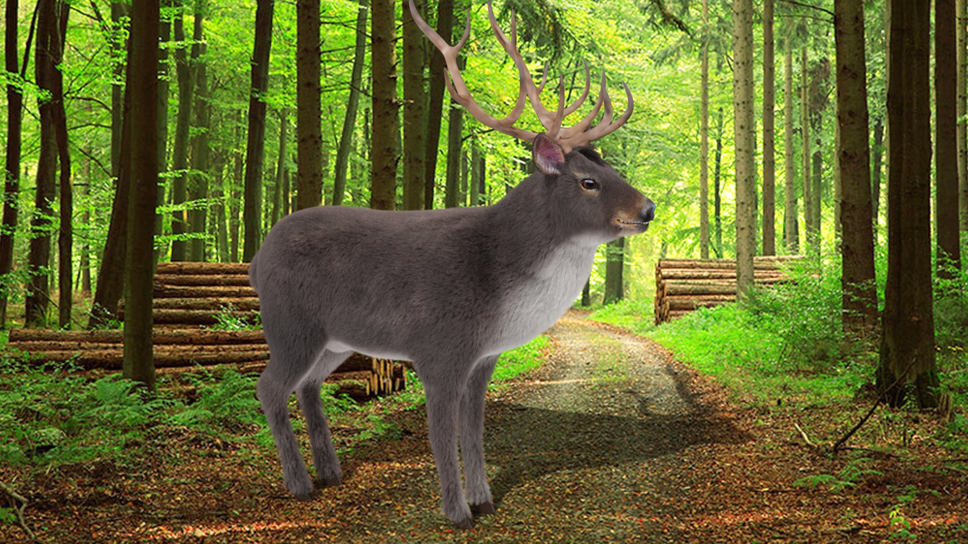 3D Model Fur Gray Stag Deer NO RIG - TurboSquid 1727887